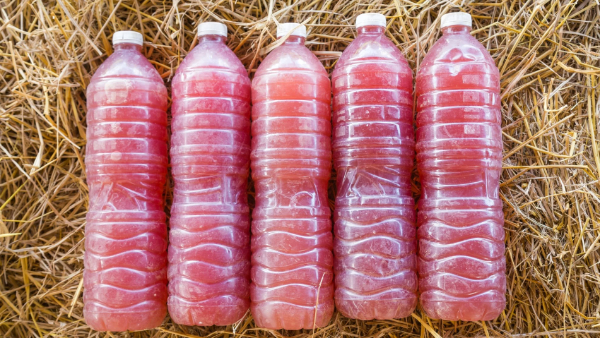 การใช้ระบบ PISA STYLE